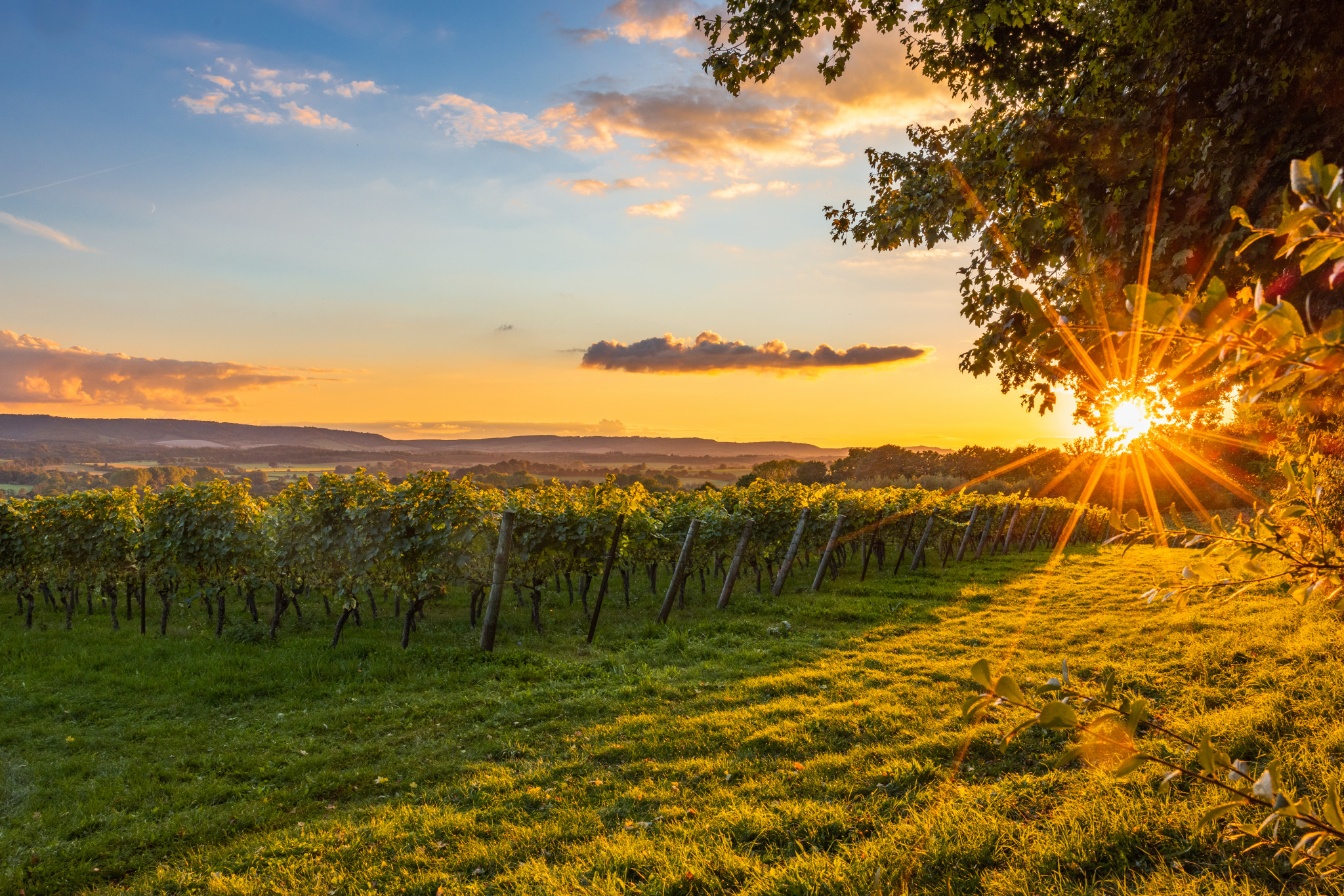 Caught in the moment | Mayfair Times